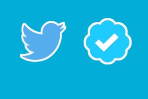 Learn how to get verified on Twitter in simple steps